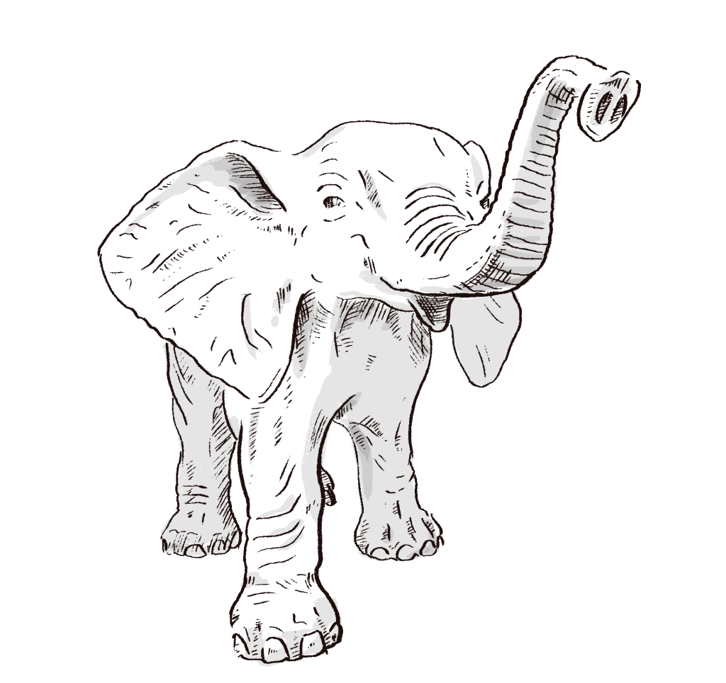Animation Pricing Leapfrog Animation Studio animation-pricing-leapfrog-animation-studio